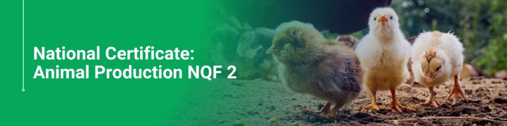 National Certificate: Plant Production NQF 2